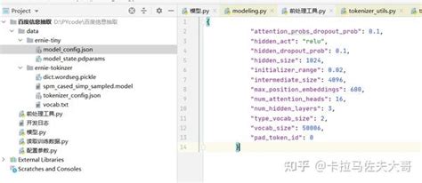 百度 Paddlenlp 如何从本地加载ernie的tokenizer和model文件 知乎