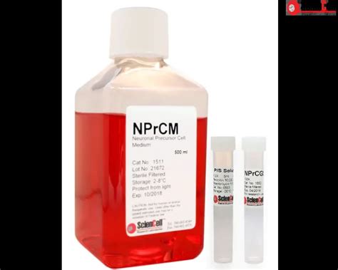 Neural Precursor Cell Medium Nprcm