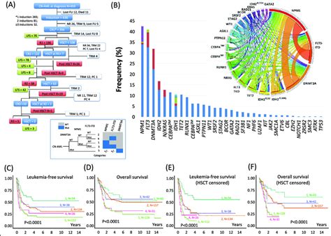 Clinical And Mutational Features And The Prognostic Impact Of Mutation