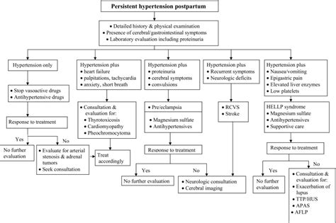 Etiology And Management Of Postpartum Hypertension Preeclampsia Obgyn Key