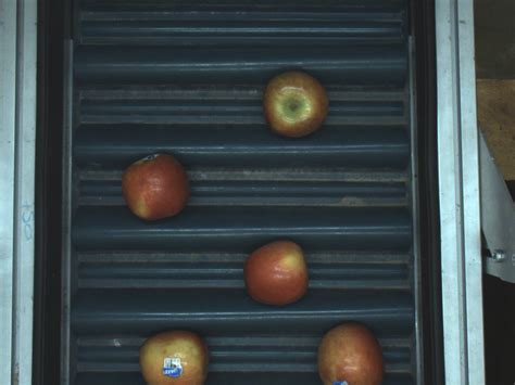 Applev Object Detection Dataset And Pre Trained Model By Apples