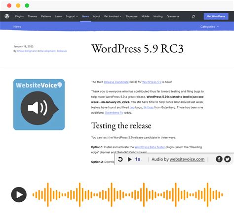 Websitevoice Wordpress Plugin Websitevoice