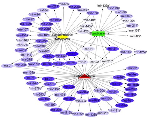The Association Network Between Disease And Mirna Download Scientific Diagram