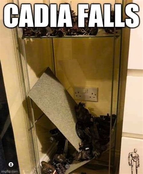 Cadia Fails