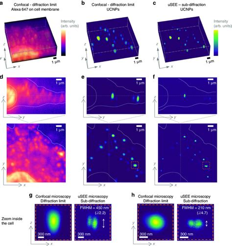 3d Sub Diffraction Usee Microscopy Imaging In Neuronal Cells A