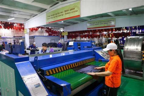 “Малын гаралтай түүхий эдийг эдийн засгийн эргэлтэд оруулах “Цагаан алт” хөтөлбөр хэрэгжүүлэх