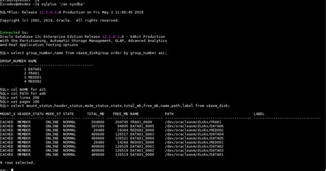 Davis Apps Dba Adding Asm Disk To Existing Diskgroup
