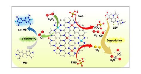 Multifunctional Fecu Dual Single Atom Nanozymes With Enhanced