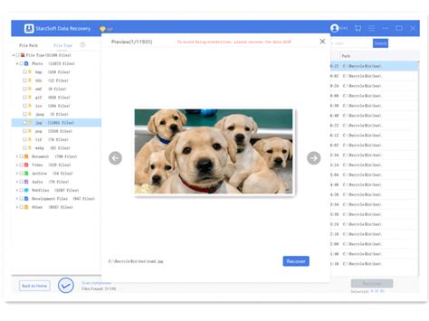 The Easiest Way To Fix ‘please Insert A Disk Into Usb Drive