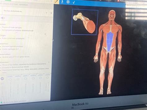 Lab 5 Flashcards Quizlet