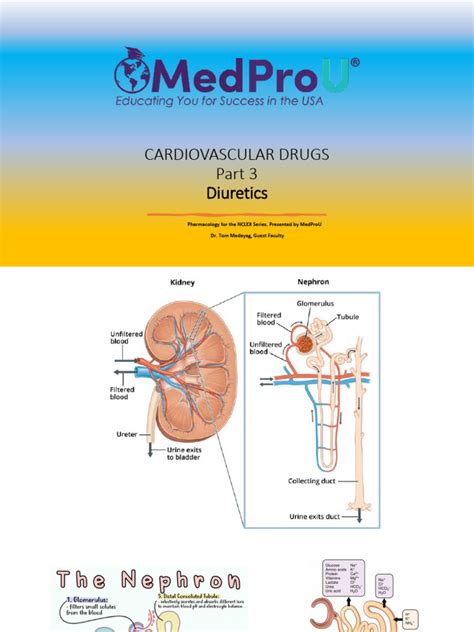 Pharmacology Module Diuretics Pdf