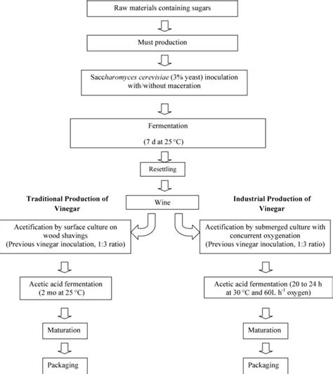 The Process Of Production For Vinegar Download Scientific Diagram