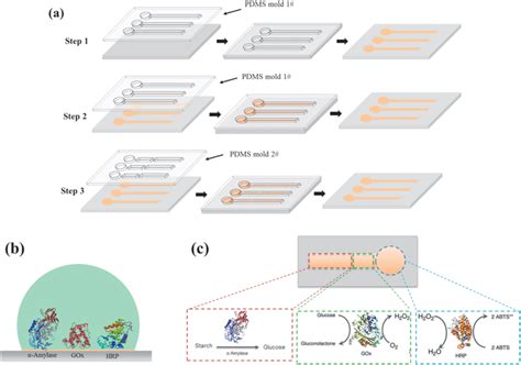 Steps Of The Fabrication Of The P‐µmb Preparation Of Pppdapei Download Scientific Diagram