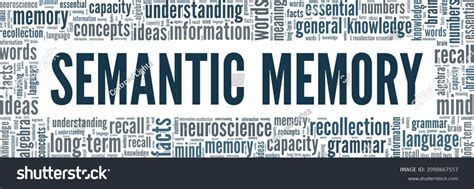 Semantic Memory Conceptual Vector Illustration Word Stock Vector Royalty Free