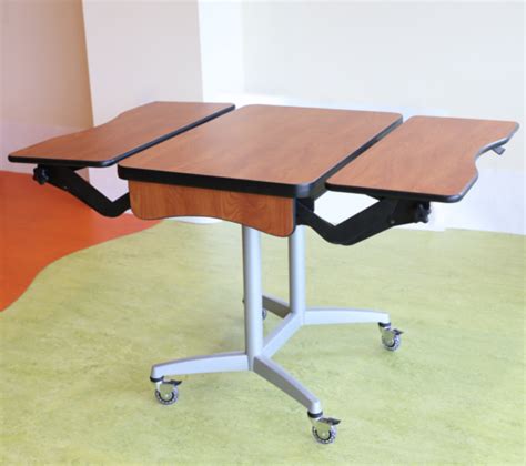 Flextable® The Center For Discovery