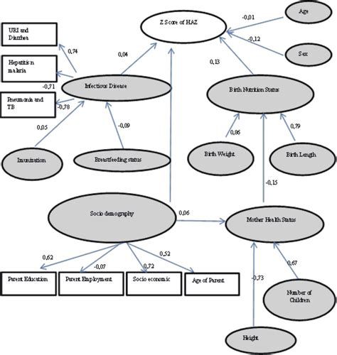 Pathway Curve Of Growth Faltering Pattern Based On Height For Age In