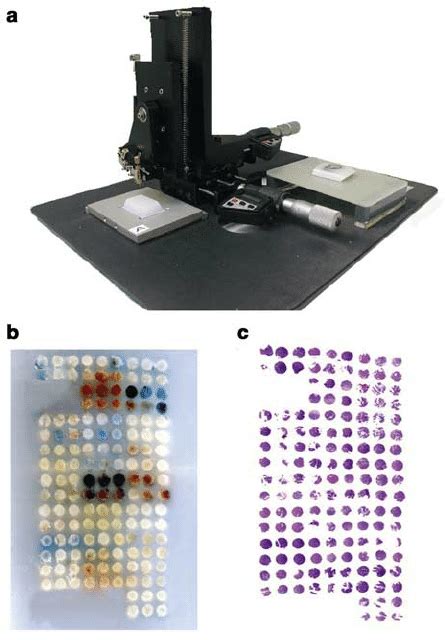 A Tissue Microarrayer Device B Overview Of Tissue Microarray