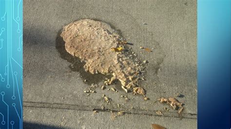 Exposure Hierarchy Adults Emetophobia Resources