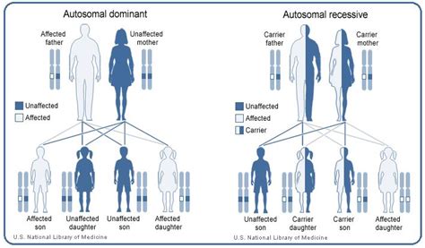Diagnosis Ehlers Danlos Syndrome