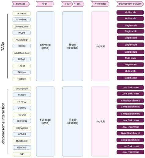 Revisiting Assessment Of Computational Methods For Hi C Data Analysis