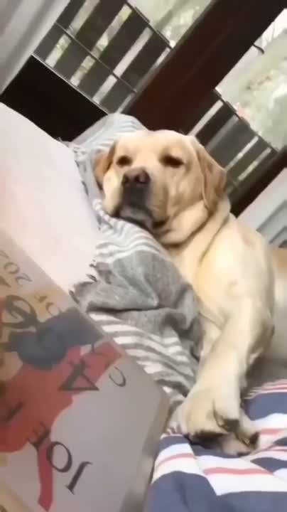 Abhiraj Makwana On Linkedin Happy Weekend 😋👻