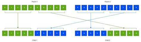 Improving The Generalization Abilities Of Constructed Neural Networks With The Addition Of Local