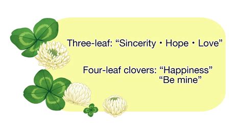 White Clover Flower Symbolism