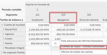 Sap ByD Financial Statements By Segment SAP Community