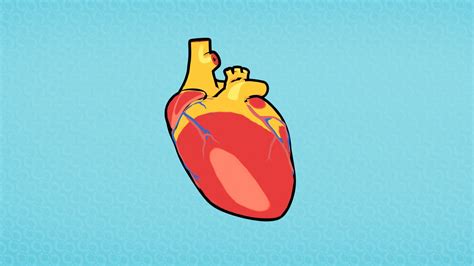 Hlhstoon 3d Model By Cchmcmedialab 2cbe155 Sketchfab