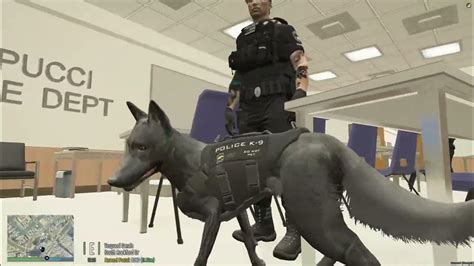 Saf Lspd 39 Some More K9 Youtube