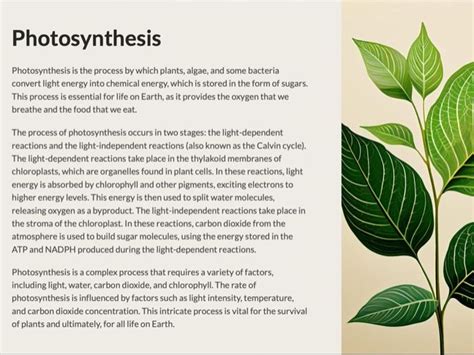 Notes On Introduction To Cells Teaching Resources