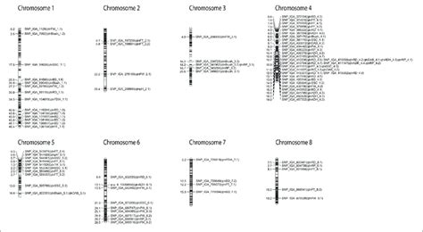 Reliable Qtns Detected Using Different Multi Locus Gwas Methods
