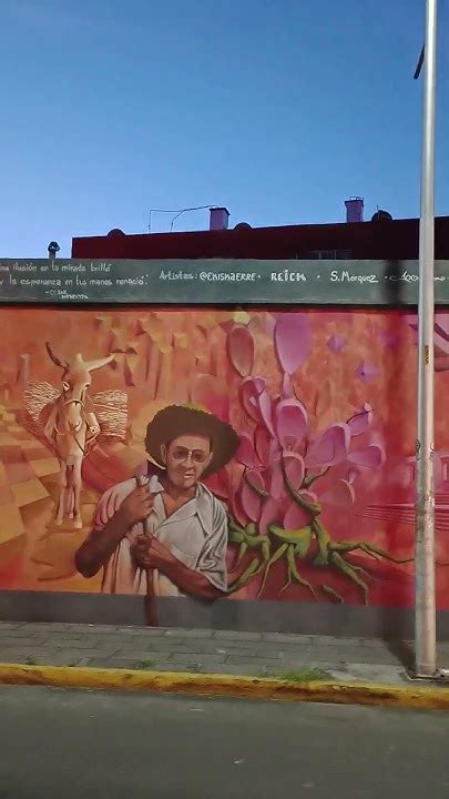 Graffitis Espectaculares En Boulevard 5 De Mayo En Puebla Shorts