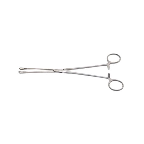 Shop Polyps Forceps Leading Dubai Medical Equipment Supplier