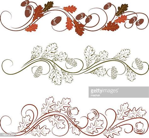 Oak Tree Pattern Photos And Premium High Res Pictures Getty Images