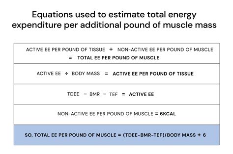 How Many Additional Calories Does Each Pound Of Muscle Burn • Stronger