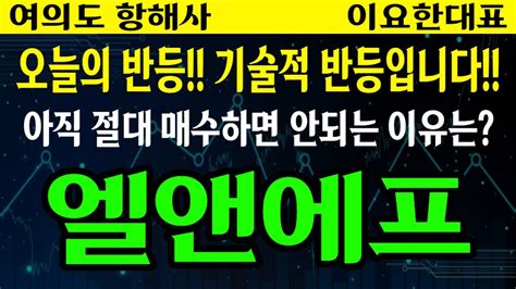 엘앤에프 오늘의 반등 기술적 반등입니다 Youtube