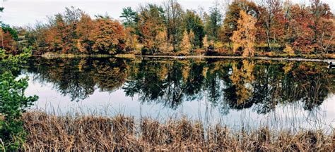 våra principer detta är en fördjupning av den fjärde… by fredrik bergljung bonnier news