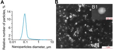 Size And Morphology Of Selenium Nanoparticles Obtained By Laser