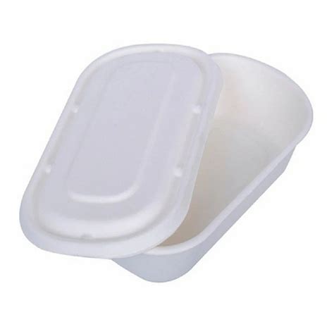 Biodegradable Container Eco Friendly Food Container Latest Price