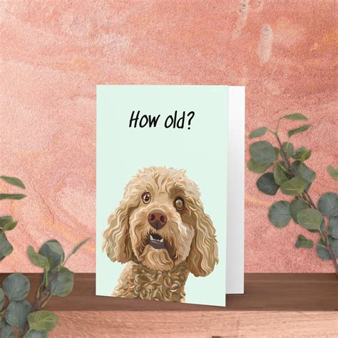 Funny Cockapoo Birthday Card How Old Surprised Teasing Humorous Joke