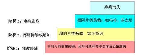 课程门户 章节详情