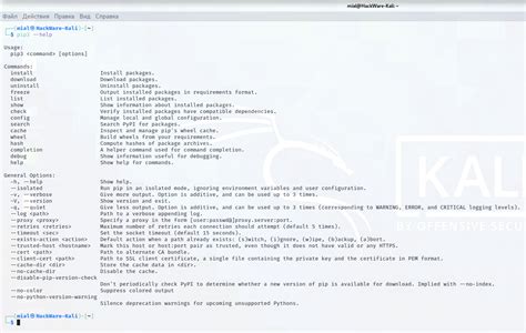 Kali Linux Install Python Pip