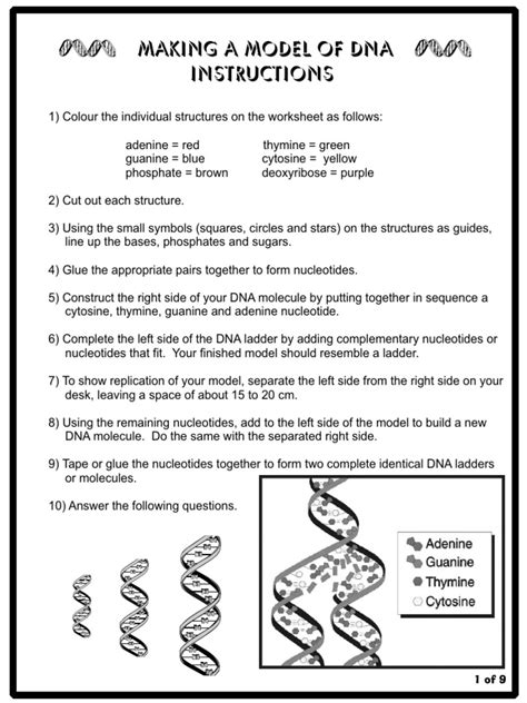 Dna Model Cut Out Sheet Dna Replication Dna