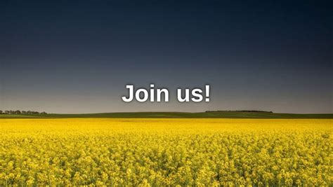 from poland with dev on linkedin frompolandwithdev hiringalert