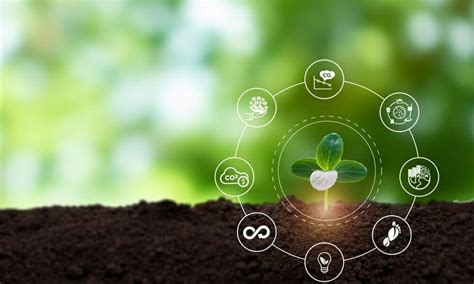 Ecological Footprint Vs Carbon Footprint Understanding Environmental
