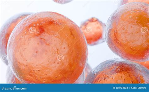 Fat Cells Adipocyte And Lipocyte Cholesterol In A Cells Stock Image