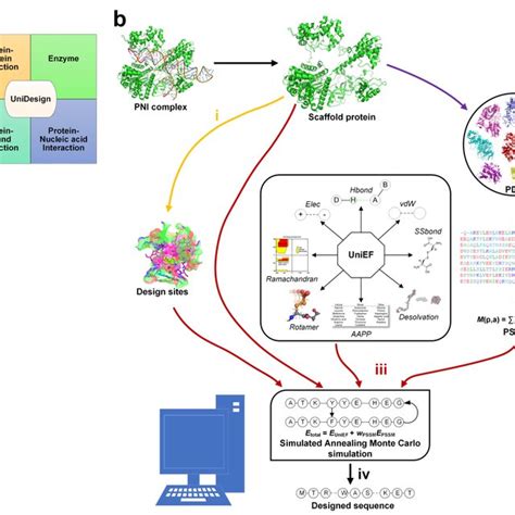 The Unidesign Workflow For Protein Nucleic Acid Interaction Design A Download Scientific