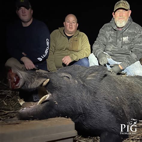 Largest Wild Hog In Georgia