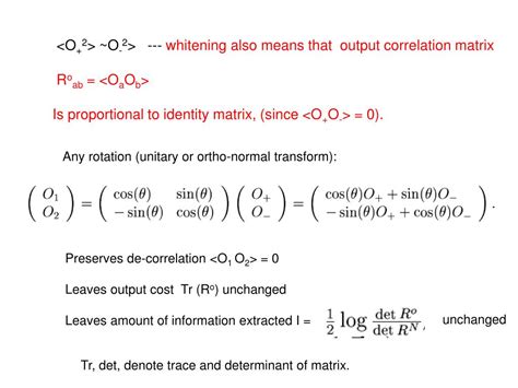 ppt understanding early visual coding from information theory by li